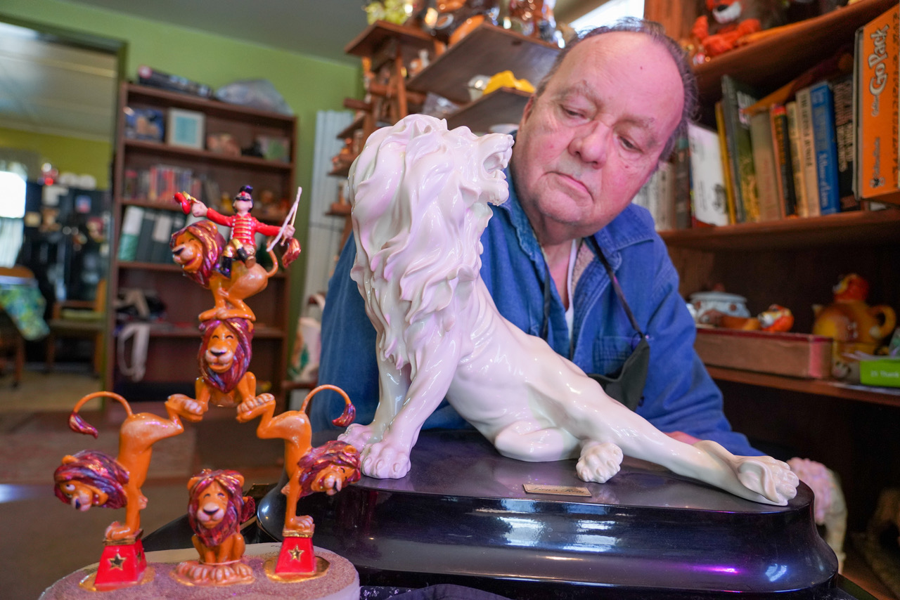 The Mane Problem - Lion Magazine