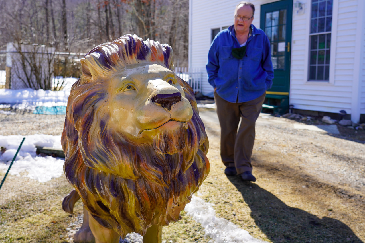 The Mane Problem - Lion Magazine